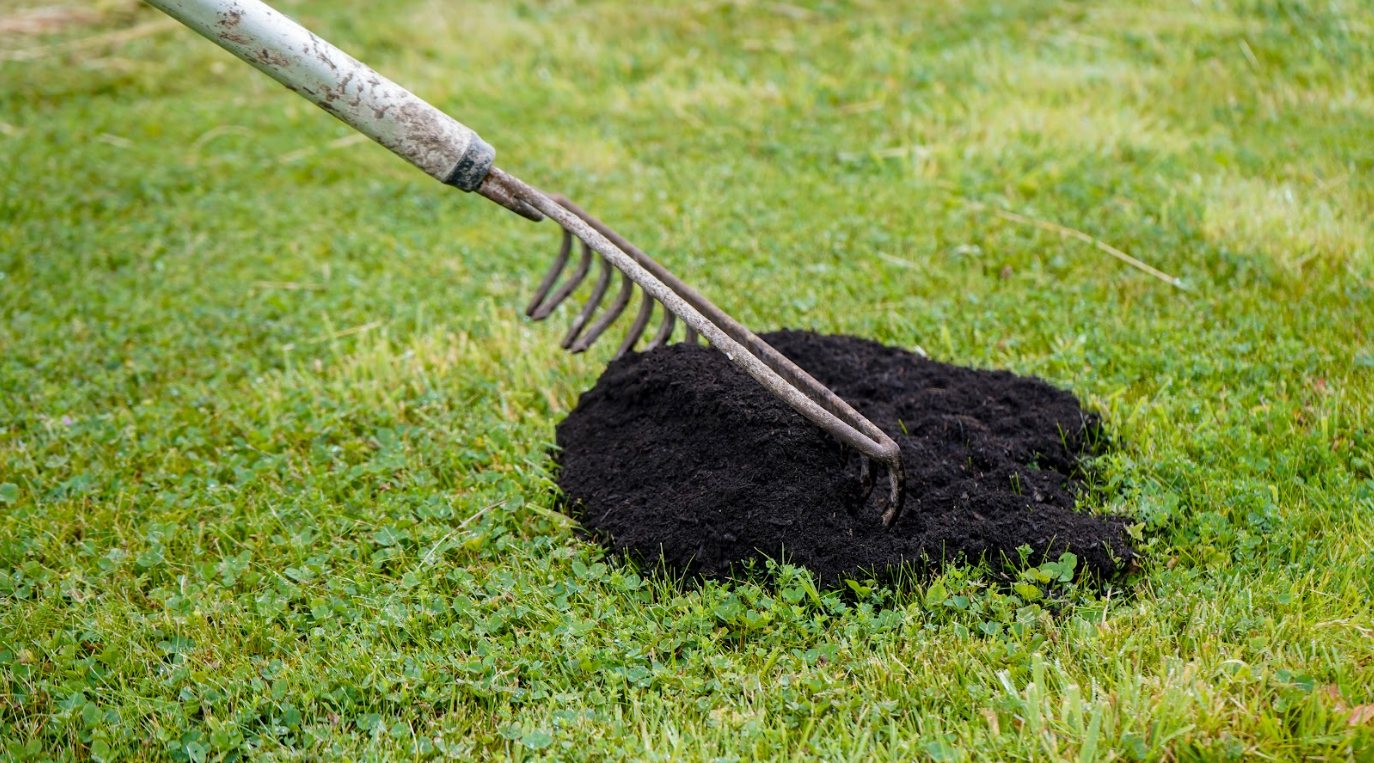 Pro-Grow Lawn Top Dressing // Compost Lawn Conditioner